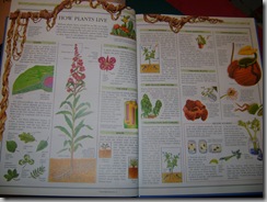 A Living Book for PLANT BIOLOGY?!?!